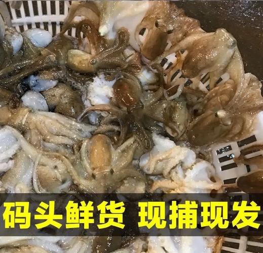 八爪鱼爆头是不清理吗_怎么处理才干净-第1张图片-山城妙识