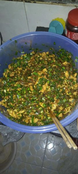 韭菜鸡蛋粉条饺子馅怎么做_韭菜鸡蛋粉条饺子馅怎么调好吃-第1张图片-山城妙识