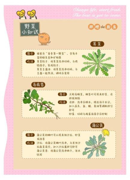 新鲜荠菜怎么吃_荠菜做法大全-第3张图片-山城妙识