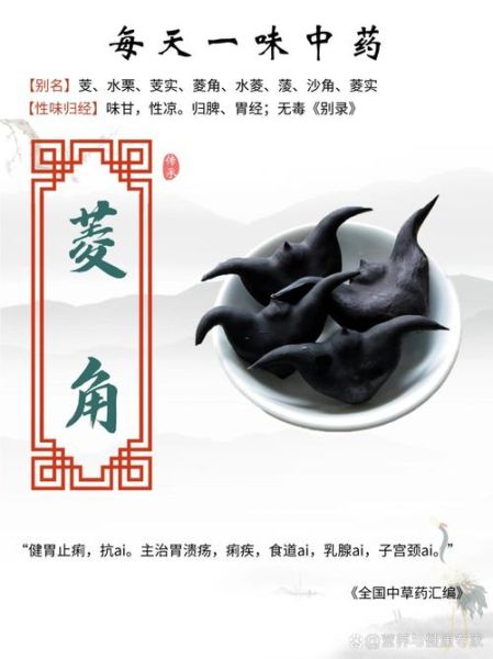 菱角抗癌防癌有奇效吗_怎么吃最有效-第2张图片-山城妙识 菱角抗癌防癌有奇效吗_怎么吃最有效-第2张图片-山城妙识