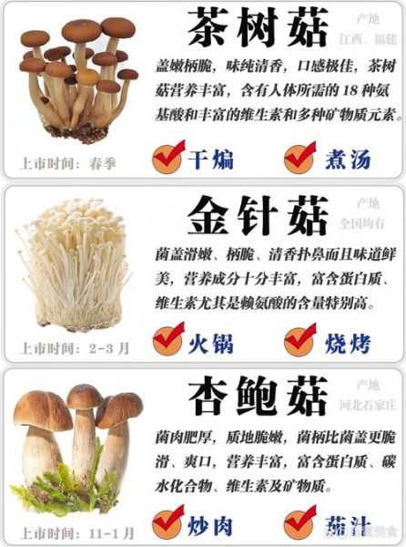 能吃的蘑菇有哪些_常见可食用蘑菇图片与名称对照-第1张图片-山城妙识