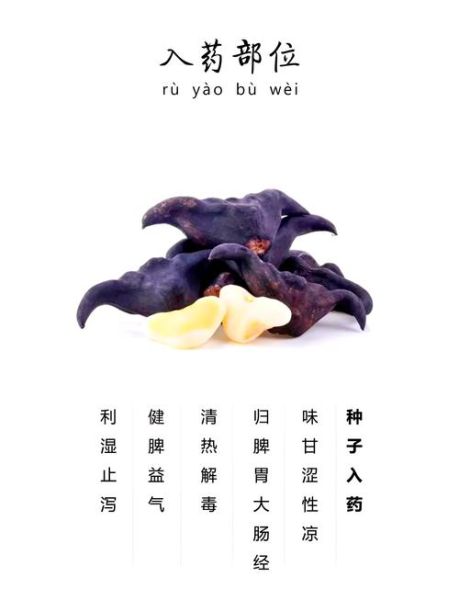 菱角抗癌防癌有奇效吗_怎么吃最有效-第1张图片-山城妙识 菱角抗癌防癌有奇效吗_怎么吃最有效-第1张图片-山城妙识