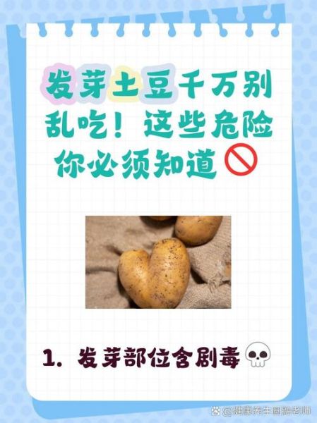 土豆发芽会产生什么毒素_吃了发芽土豆怎么办-第1张图片-山城妙识