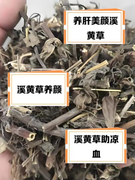 溪黄草的功效与作用_溪黄草怎么喝才安全-第3张图片-山城妙识