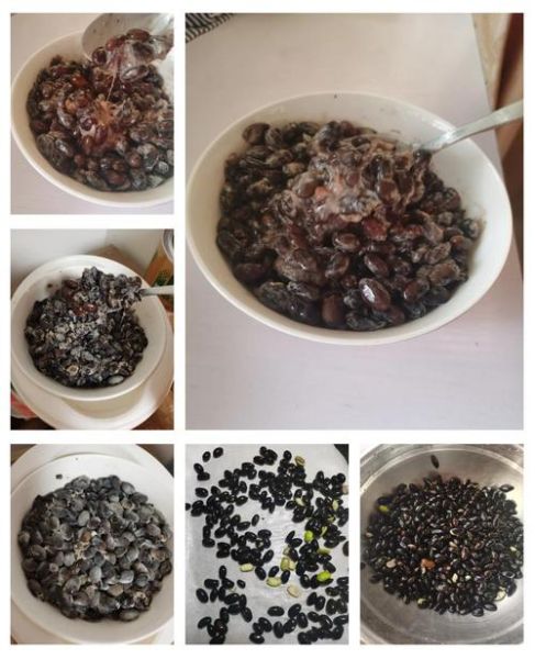 纳豆怎么做最正宗_纳豆的传统做法步骤-第3张图片-山城妙识 纳豆怎么做最正宗_纳豆的传统做法步骤-第3张图片-山城妙识