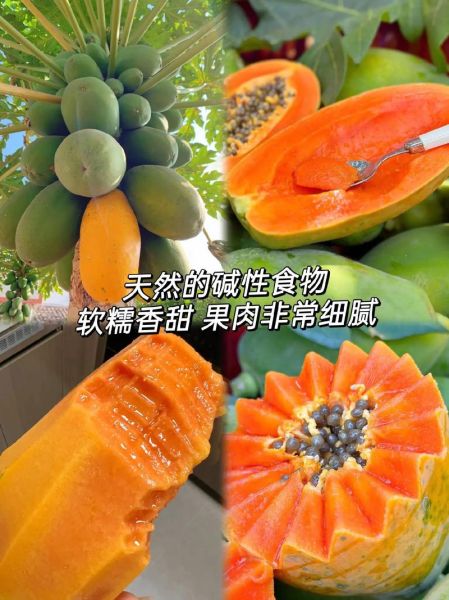 牛奶木瓜的功效与作用_牛奶木瓜怎么吃最好-第3张图片-山城妙识