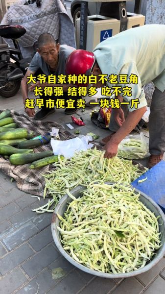 豆角电影电视剧在线观看_豆角影视免费看-第3张图片-山城妙识