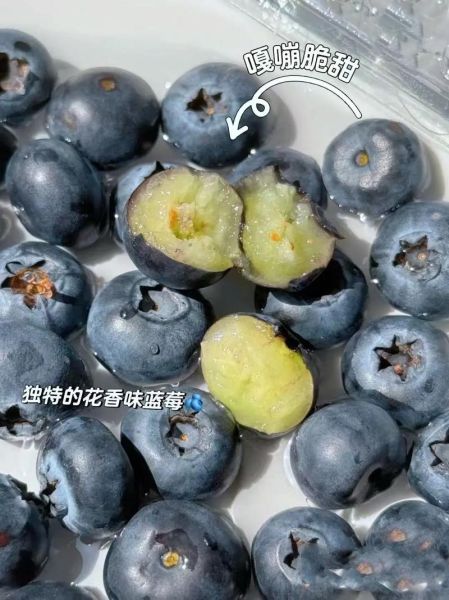 蓝莓花青素的功效与作用_蓝莓花青素怎么吃效果最好-第2张图片-山城妙识