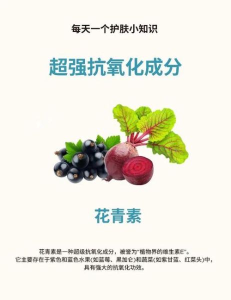 蓝莓花青素的功效与作用_蓝莓花青素怎么吃效果最好-第1张图片-山城妙识