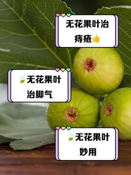 无花果治痔疮真的有用吗_无花果治痔疮的正确吃法-第1张图片-山城妙识