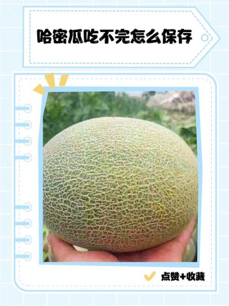 哈密瓜切开后能放几天_怎么保存-第2张图片-山城妙识
