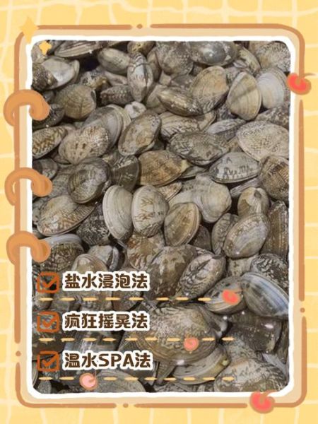 花甲怎么吐沙最干净_花甲吐沙最快的方法-第1张图片-山城妙识