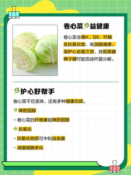 卷心菜哪些人不能吃_卷心菜禁忌人群-第1张图片-山城妙识