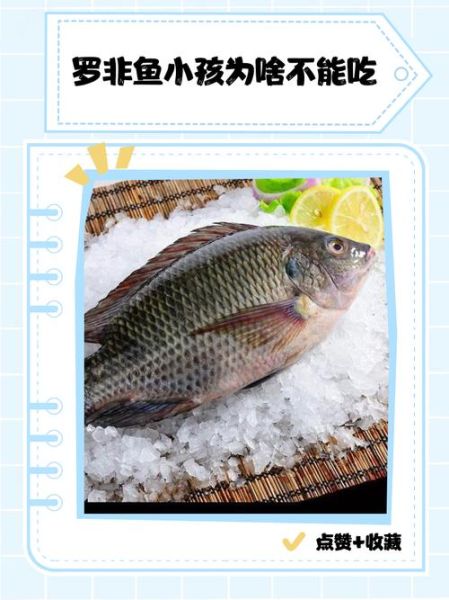 罗非鱼小孩为啥不能吃_罗非鱼儿童食用禁忌-第1张图片-山城妙识 罗非鱼小孩为啥不能吃_罗非鱼儿童食用禁忌-第1张图片-山城妙识