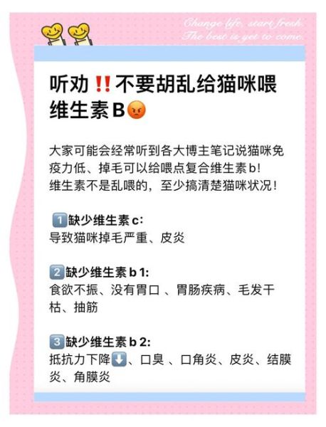 吃维生素b2能去口臭吗_维生素b2对口臭有效吗-第2张图片-山城妙识