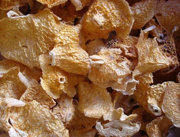 竹毛肚多少钱一斤_竹毛肚价格行情-第3张图片-山城妙识