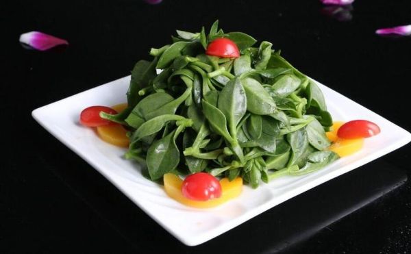 橙汁穿心莲怎么做_橙汁穿心莲的功效与禁忌-第2张图片-山城妙识