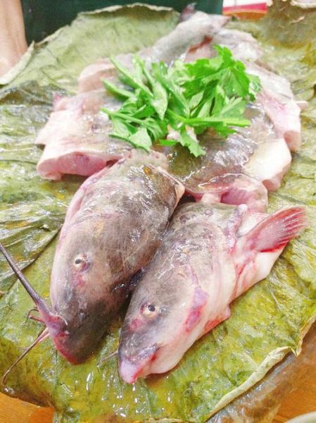 塘坝鱼怎么做好吃_塘坝鱼的家常做法窍门-第1张图片-山城妙识 塘坝鱼怎么做好吃_塘坝鱼的家常做法窍门-第1张图片-山城妙识