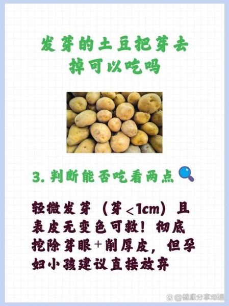 生芽土豆怎样处理能吃_土豆发芽了还能吃吗-第2张图片-山城妙识