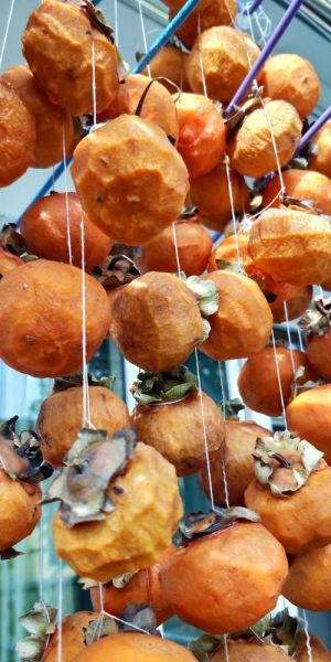 自家柿子怎么做柿饼_家庭自制柿饼详细步骤-第1张图片-山城妙识