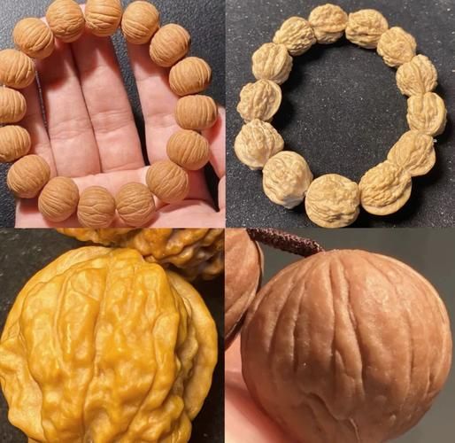 野生山核桃图片_如何辨别真假野生山核桃-第3张图片-山城妙识