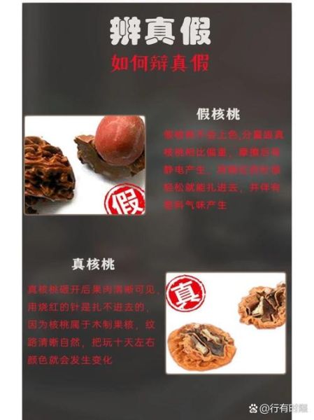 野生山核桃图片_如何辨别真假野生山核桃-第2张图片-山城妙识