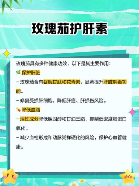 玫瑰茄怎么读_玫瑰茄的功效与作用-第2张图片-山城妙识