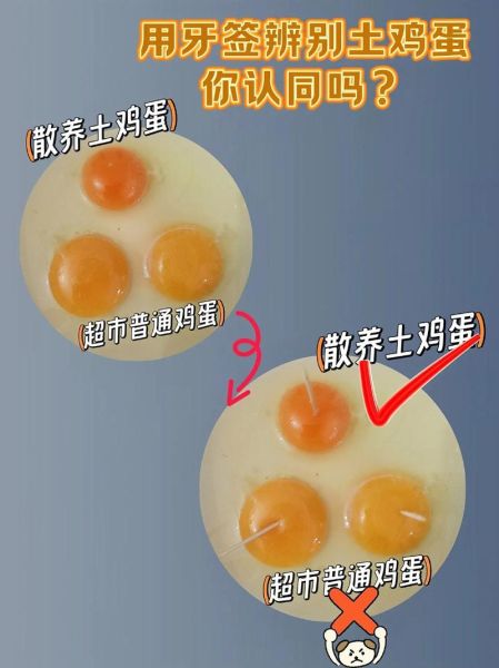 土鸡蛋和普通鸡蛋的区别_土鸡蛋怎么挑选-第1张图片-山城妙识