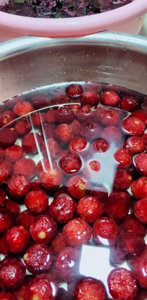 紫苏杨梅干怎么做_紫苏杨梅干保存多久-第1张图片-山城妙识