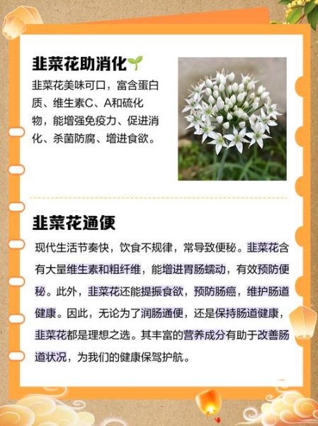 韭菜花吃起来什么味道_韭菜花口感像什么-第3张图片-山城妙识 韭菜花吃起来什么味道_韭菜花口感像什么-第3张图片-山城妙识