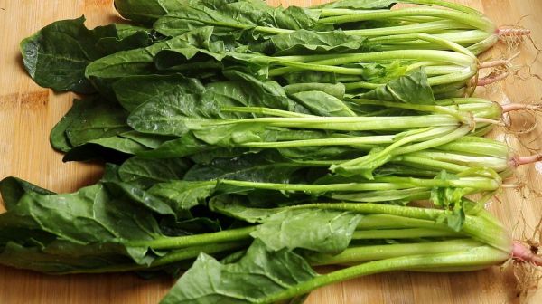 菠菜图片大全大图_如何挑选新鲜菠菜-第1张图片-山城妙识