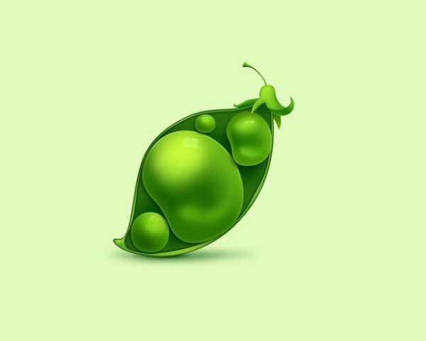 碗豆荚怎么下载_碗豆荚安全吗-第3张图片-山城妙识