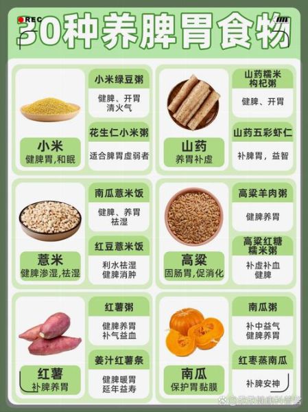 调理脾胃吃什么好_15种食物推荐-第2张图片-山城妙识