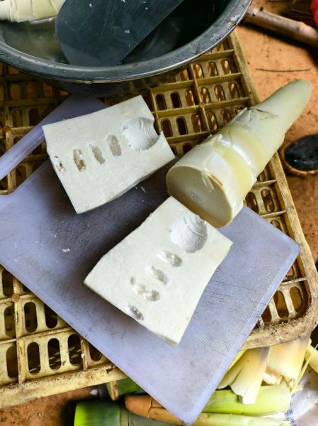 鲜竹笋图片大全_鲜竹笋怎么挑选-第1张图片-山城妙识