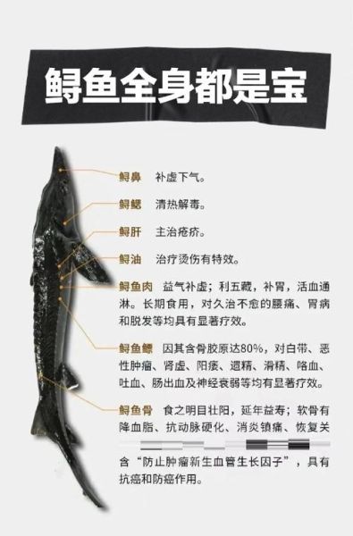 鲟鱼取完鱼子会死吗_鲟鱼取卵后存活率-第1张图片-山城妙识