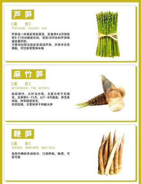 春笋和冬笋哪个营养更高_春笋和冬笋营养价值对比-第1张图片-山城妙识