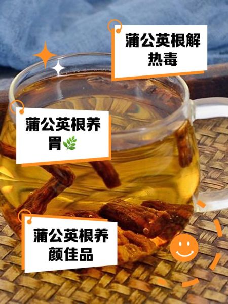 蒲公英根能治什么病_蒲公英根泡水喝的禁忌-第1张图片-山城妙识