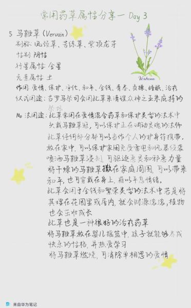 马鞭草的功效与作用_马鞭草的禁忌症-第1张图片-山城妙识