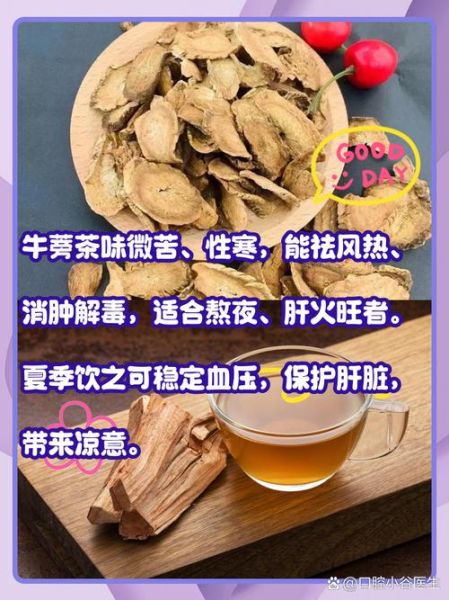 牛蒡酒的功效与作用_牛蒡酒适合什么人喝-第3张图片-山城妙识
