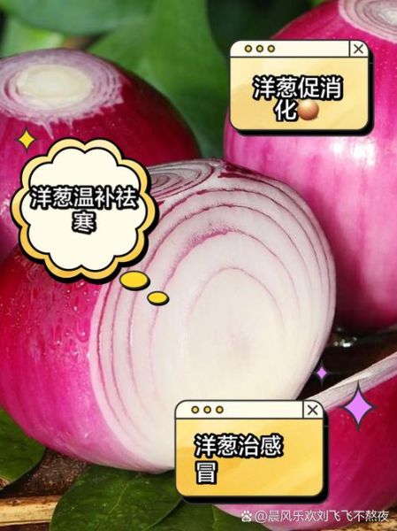 洋葱对男性性功能有好处吗_怎么吃才有效-第1张图片-山城妙识 洋葱对男性性功能有好处吗_怎么吃才有效-第1张图片-山城妙识