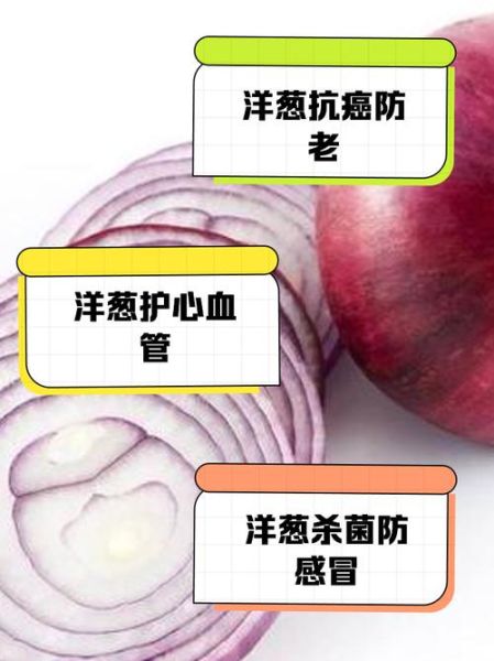 洋葱对男性性功能有好处吗_怎么吃才有效-第3张图片-山城妙识 洋葱对男性性功能有好处吗_怎么吃才有效-第3张图片-山城妙识