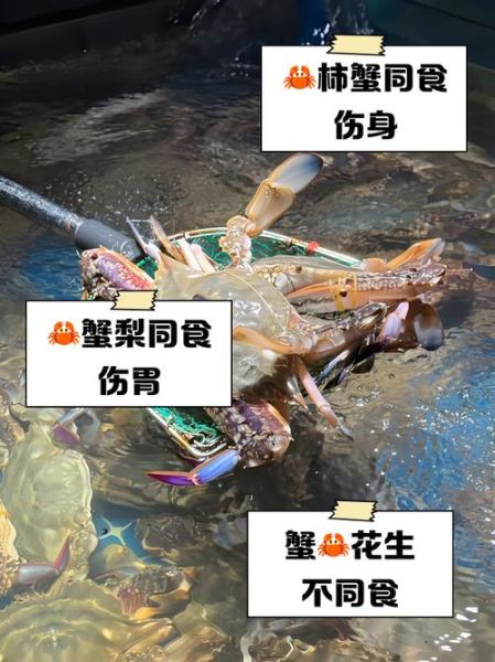 海蟹不能和什么一起吃_海蟹相克食物有哪些-第3张图片-山城妙识