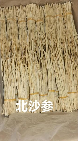 北沙参产地在哪里_北沙参哪里产的好-第2张图片-山城妙识