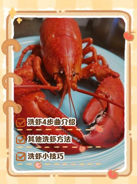 煮龙虾要多久才熟_如何清洗龙虾最干净-第2张图片-山城妙识 煮龙虾要多久才熟_如何清洗龙虾最干净-第2张图片-山城妙识