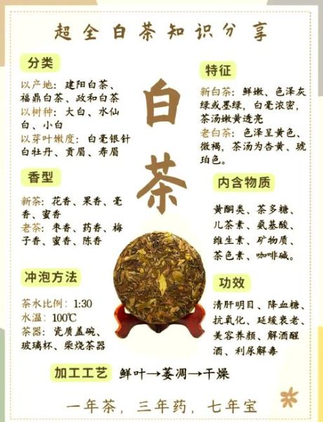 白茶有哪些功效_白茶适合什么人喝-第1张图片-山城妙识