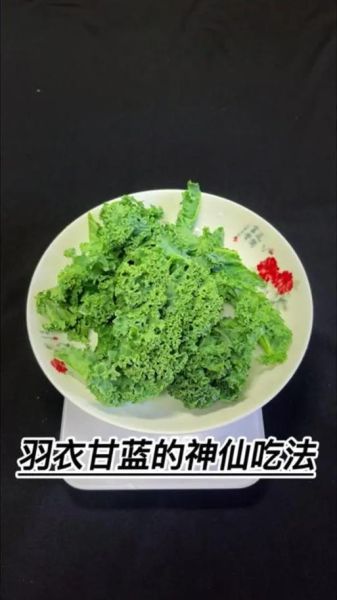 羽衣甘蓝菜怎么做好吃_羽衣甘蓝菜家常做法-第1张图片-山城妙识