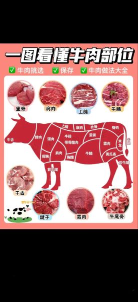 牛肉怎么挑选_猪肉哪个部位最嫩-第2张图片-山城妙识