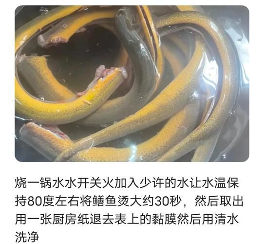 红烧黄鳝要不要焯水_焯水后口感会变差吗-第2张图片-山城妙识