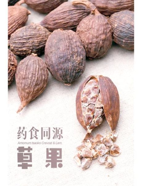 草果在炖肉起什么作用_草果炖肉放几颗合适-第1张图片-山城妙识