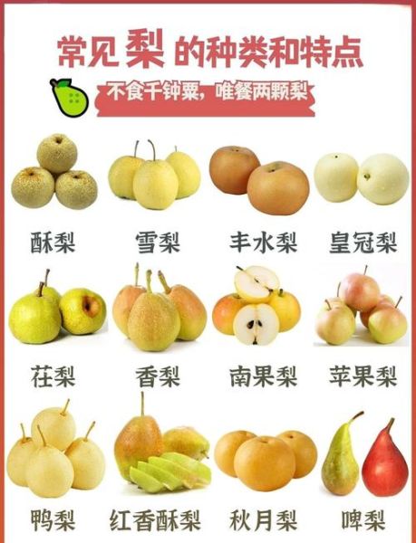 梨的种类有哪些_哪种梨最好吃-第2张图片-山城妙识 梨的种类有哪些_哪种梨最好吃-第2张图片-山城妙识